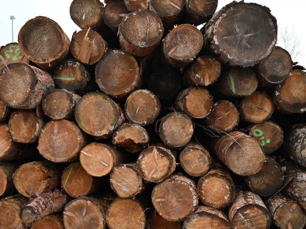 Rundholz Eiche | Lieferung je Raummeter - Holzhandel24.com